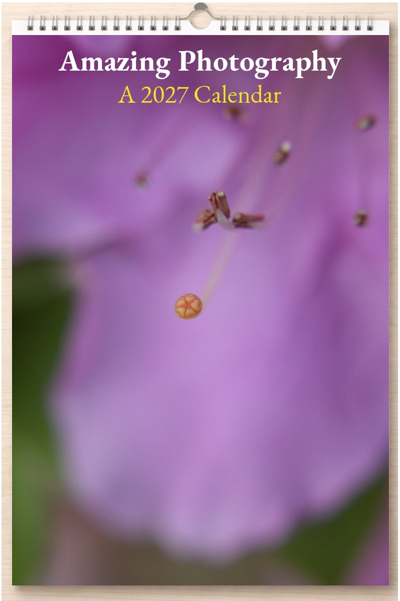 Amazing Photography: A 2027 Calendar – Silent Spark Press